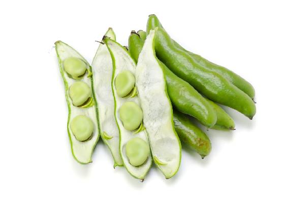 Habas | Frutas Gómez